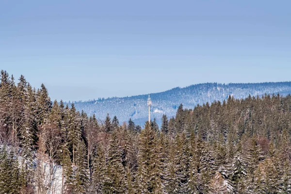 Scenic Hike to Rich Mountain Fire Tower - Wheel Of Bliss