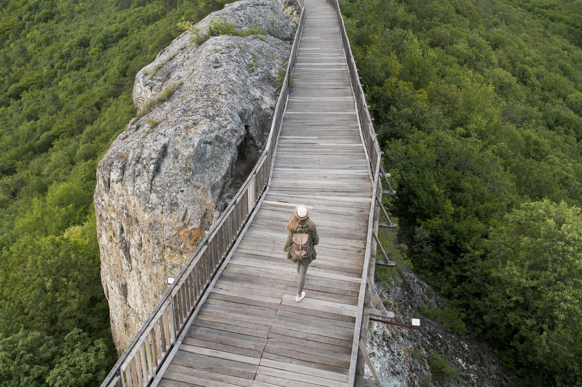 Looking Glass Rock Hike in Blue Ridge - Wheel Of Bliss
